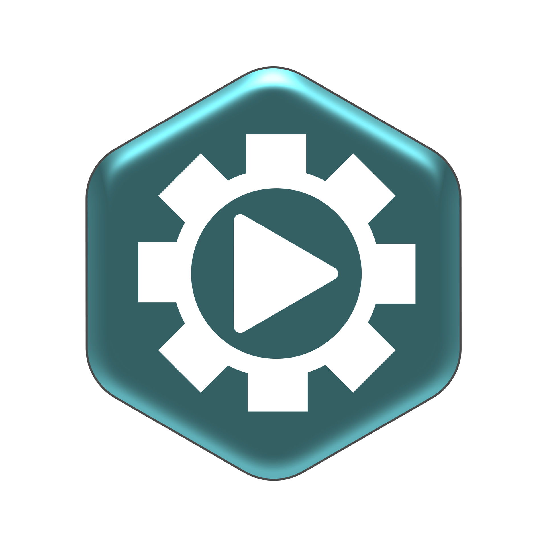 Media Processing